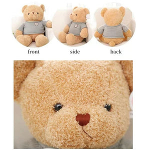 Stuffed Teddy Bear Nanny Camera with Voice Recording & Live Viewing